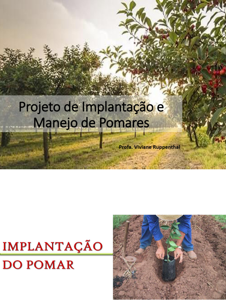 Implantação e Manejo de Pomares | PDF | Solo | Irrigação
