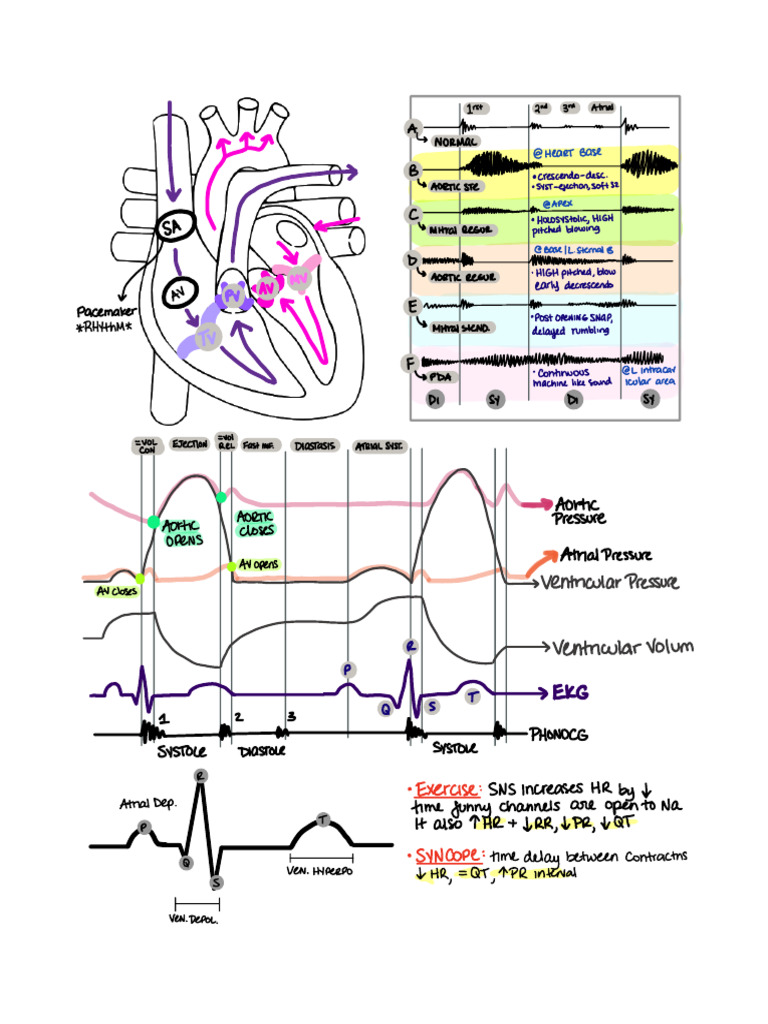 3 - Nbme Cardio | PDF