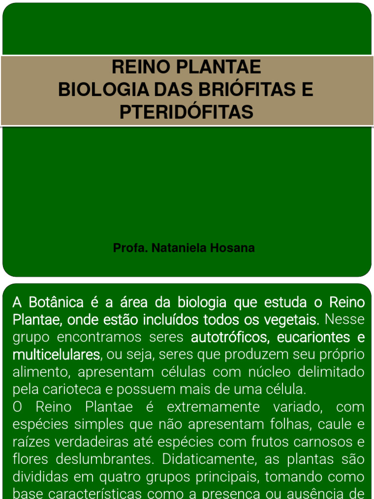 Biologia das Briófitas e Pteridófitas | PDF | Plantas | Musgo