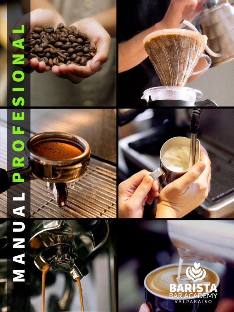 Manual Curso Barista Profesional 1.0 | PDF | café | Comida y bebida