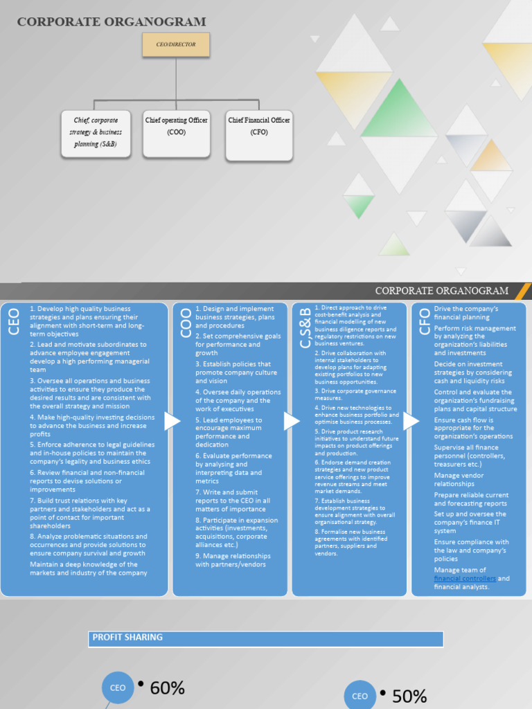 Corporate Organogram | PDF | Chief Financial Officer | Chief Operating ...