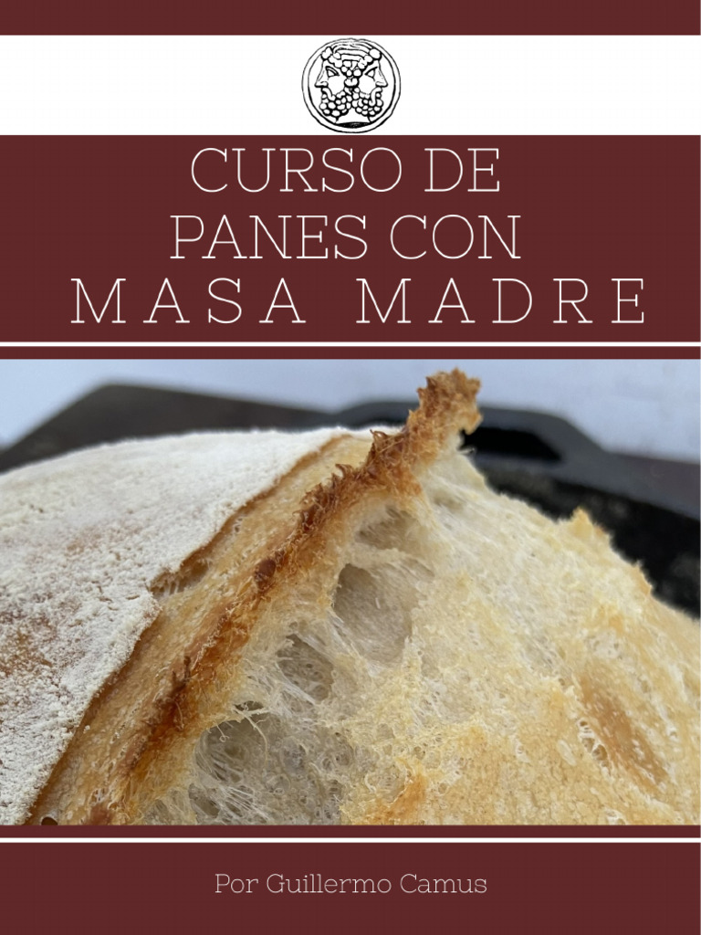Curso de Panes con Masa Madre | PDF | Panes | De masa fermentada