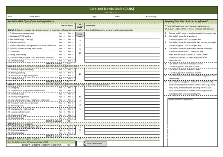 Care and Needs Scale | PDF | Health Care | Psychology