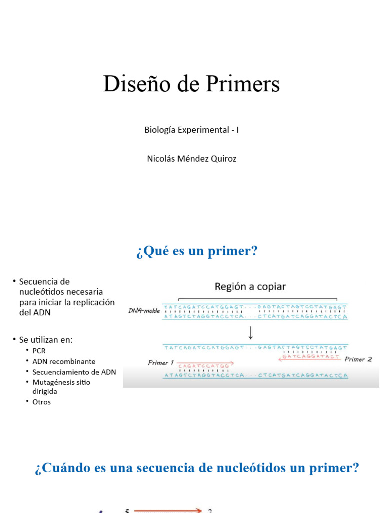 Diseño de Primers | PDF | Primer (Biología Molecular) | Reacción en cadena de la polimerasa
