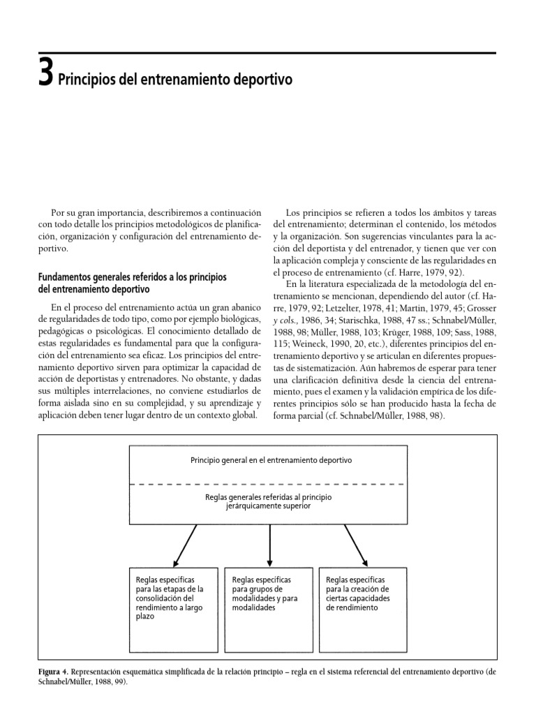 Principios del Entrenamiento Deportivo | PDF | Entrenamiento de fuerza ...
