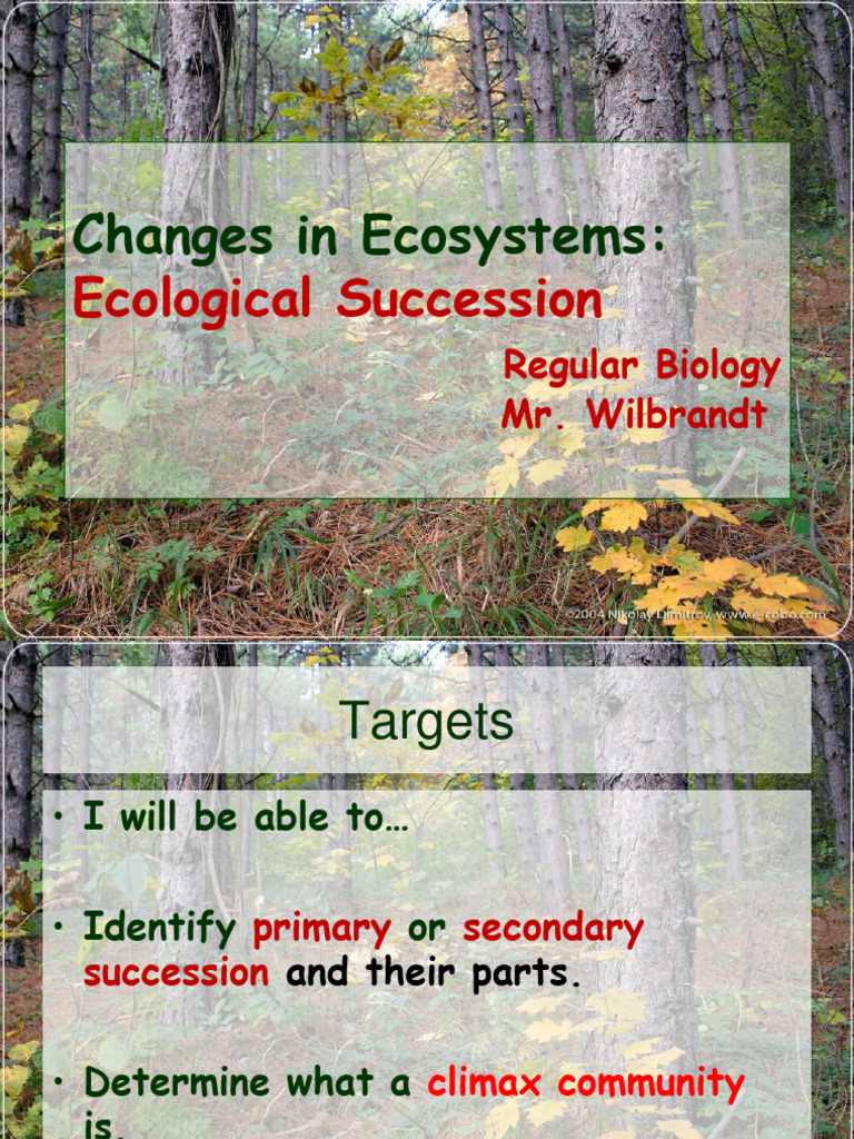 Ecological Succession For Dummies | PDF