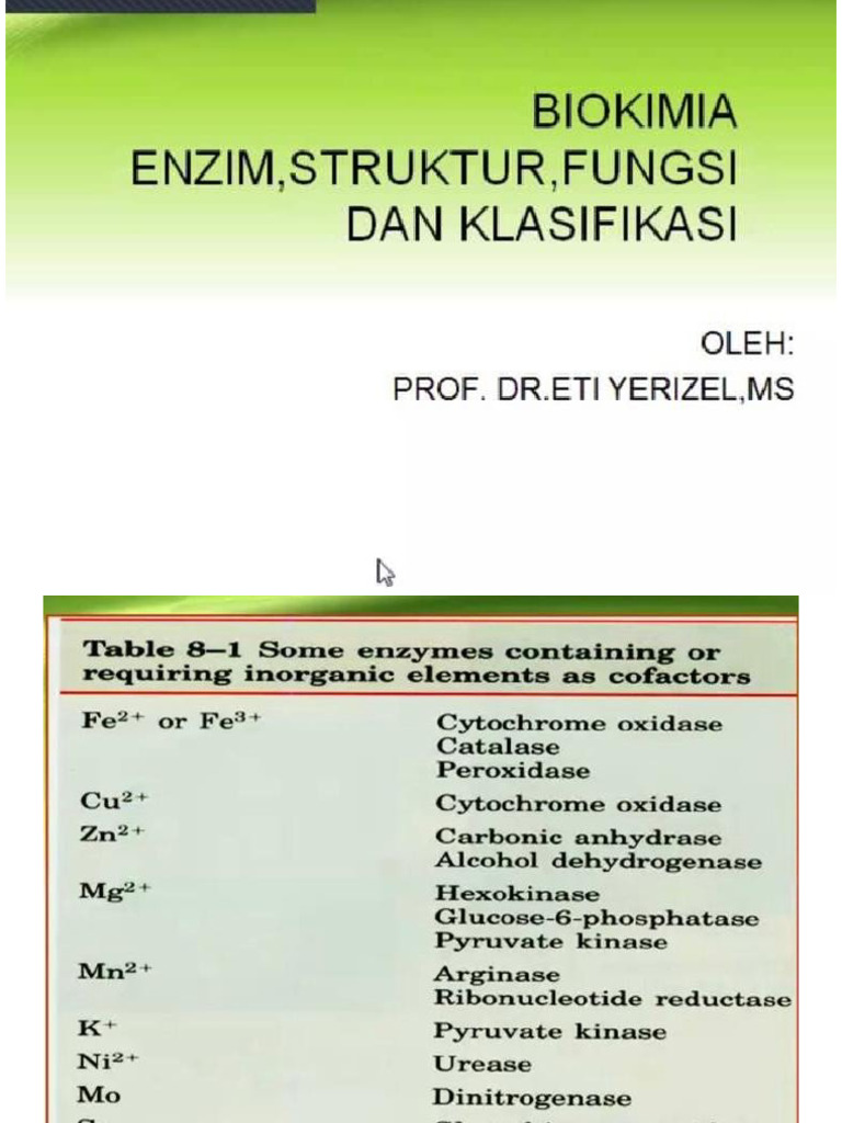 Biokimia Enzim | PDF