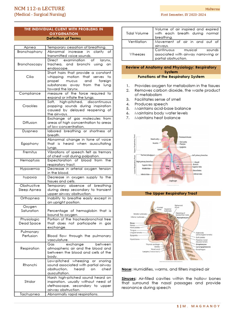 NCM 112 N LECTURE Midterm | PDF | Respiratory Tract | Lung