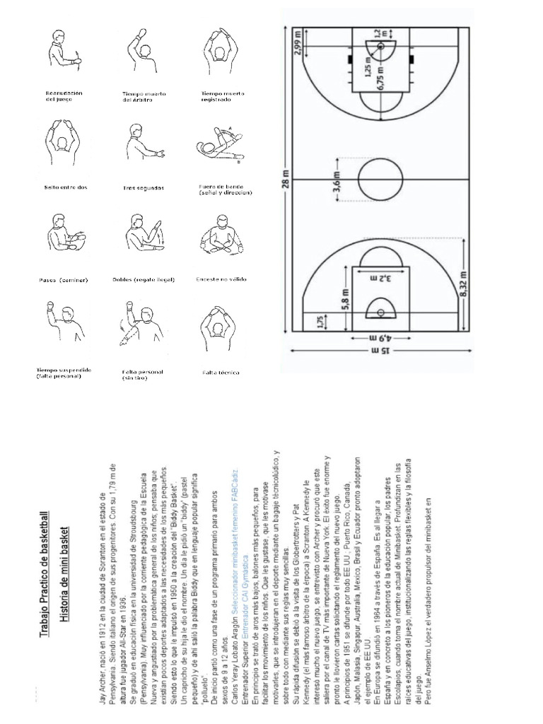 Basket | PDF