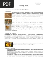 Mosca Pinta-1 | PDF | Control biológico de plagas | Plaga (organismo)