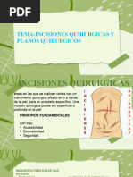 Incisiones Quirúrgicas | PDF | Abdomen | Anatomía