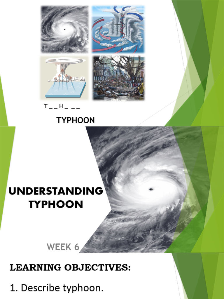 Understanding Typhoons: Development and Safety | PDF | Tropical ...