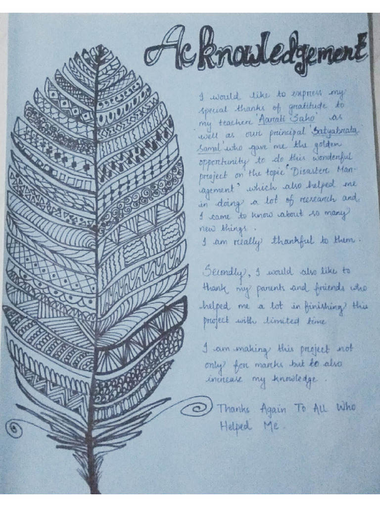 disaster management project ideas | PDF