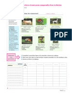 Classification des êtres vivants en 6ème | PDF | Espèces | Tigre