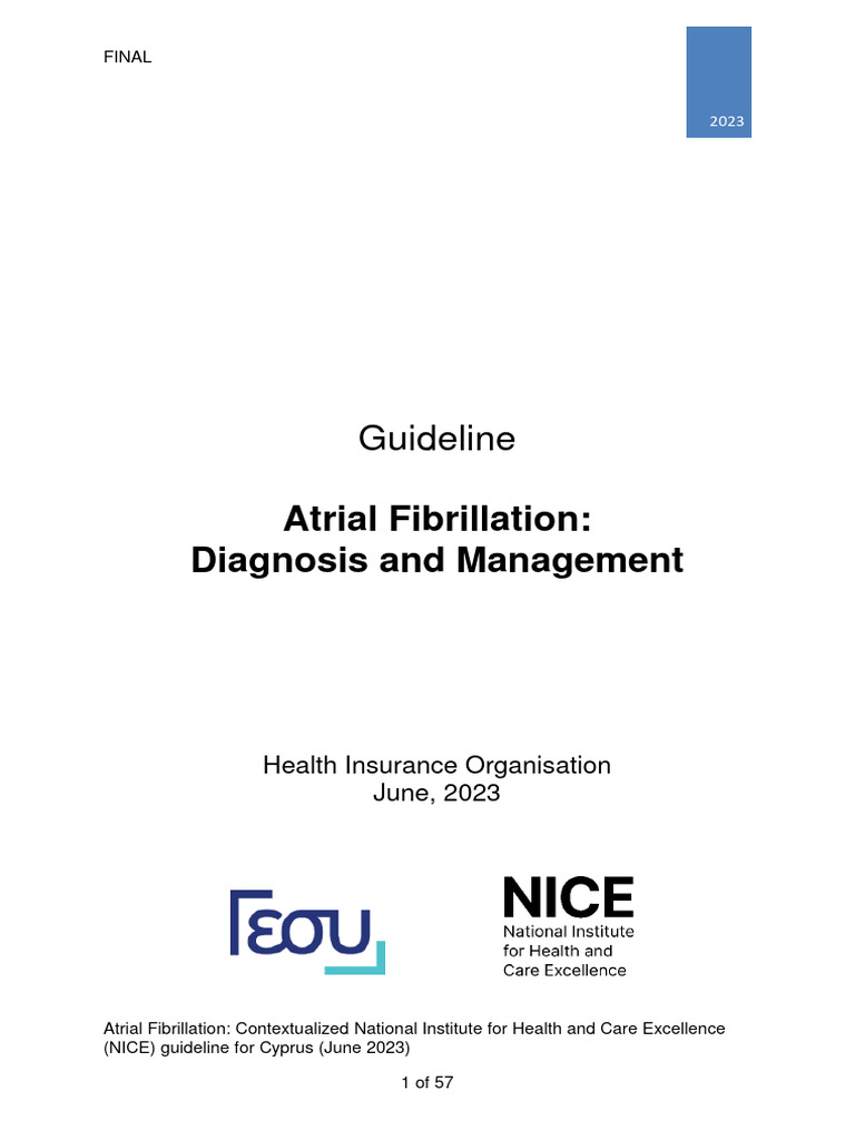 AF - Contextualized Guideline - EN - 30 - 06 - 2023 - FINAL | PDF ...
