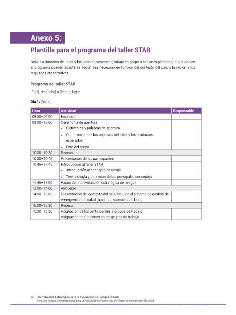Módulo 3 - Plantilla Anexo 5 Plantilla Programa STAR | PDF