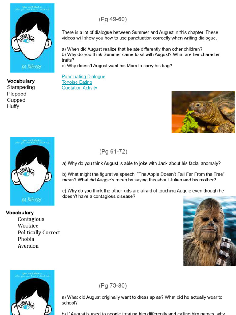 Wonder Slides | PDF | Human Anatomy | Face