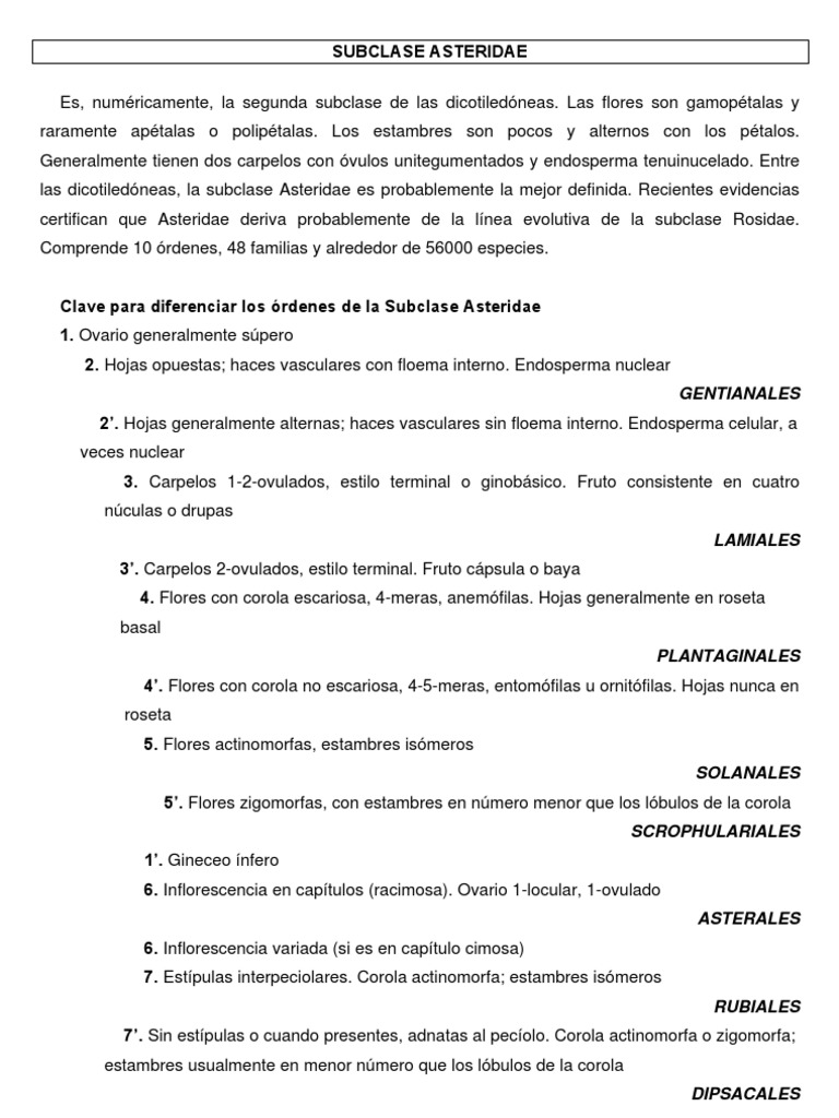 Guia Asteridae 1 | PDF | Flores | Fruta