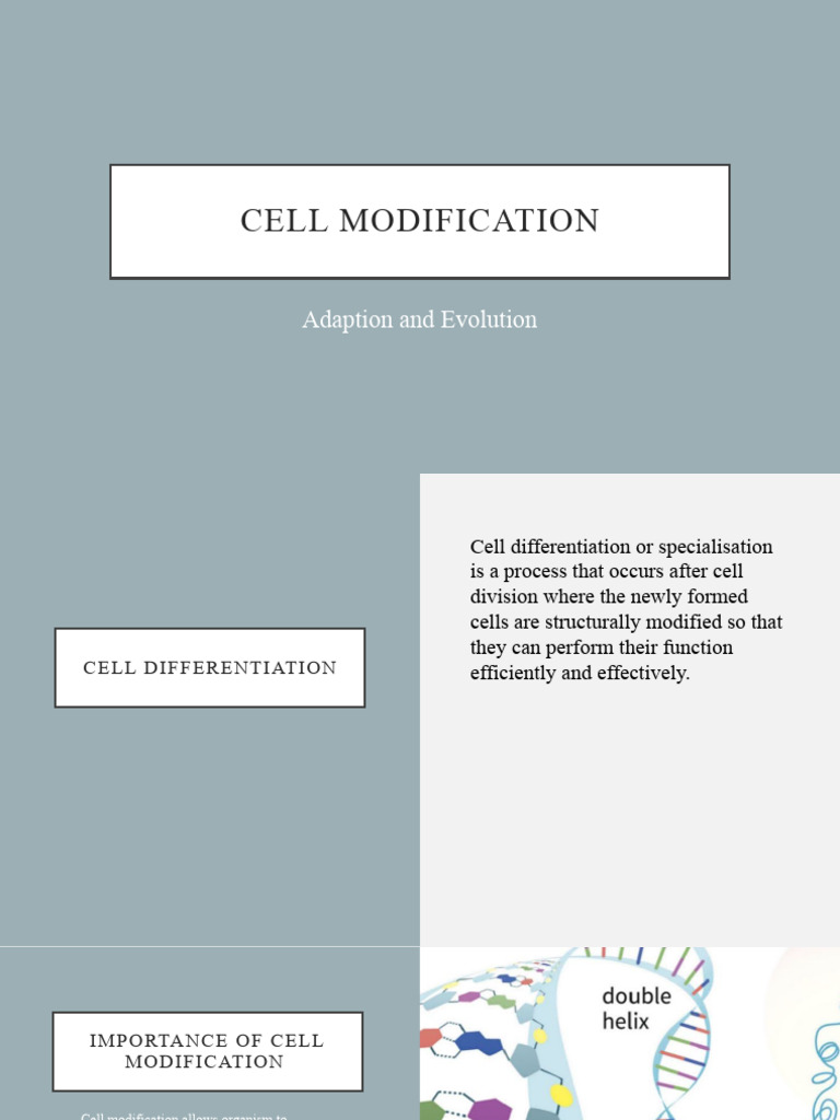 Cell Differentiation & Evolution | PDF