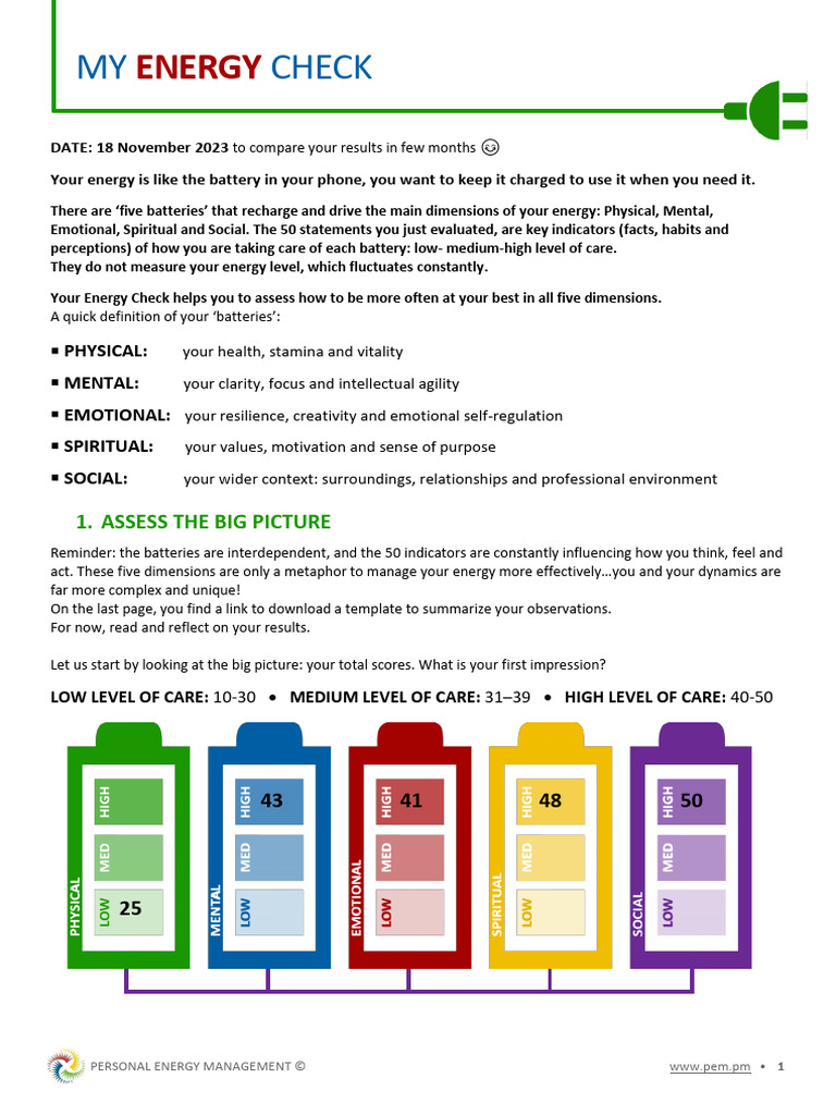 My Energy Check | PDF | Physical Fitness | Cognition
