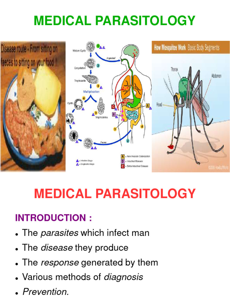 9 - PARASITOLOGY INTRODUCTION - DR Ayesha (23-11-2020) | PDF | Wellness