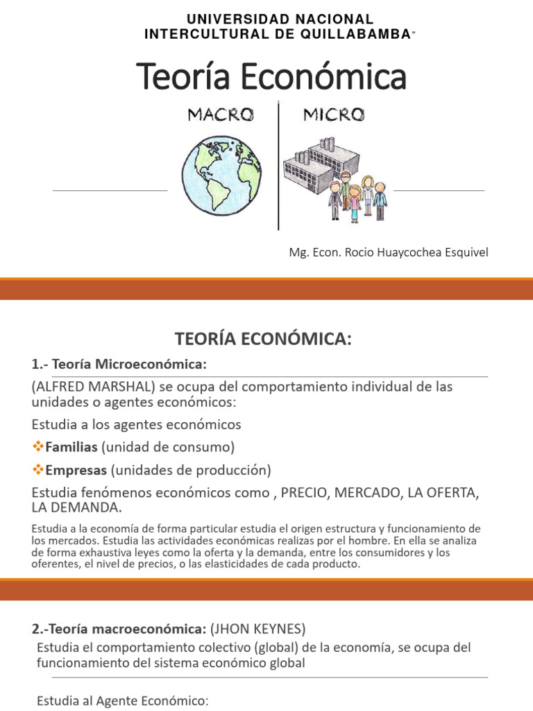 Teoria Economica Micro y Macro | PDF