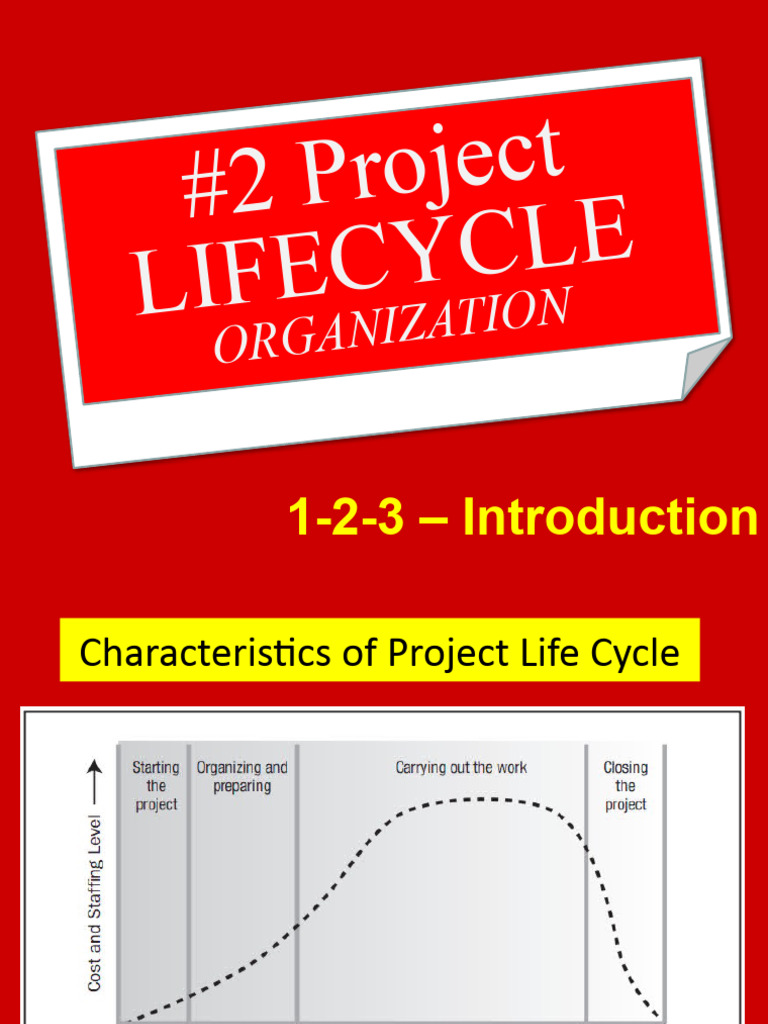 Project Introduction 3 1 Pdf Project Management Systems Engineering