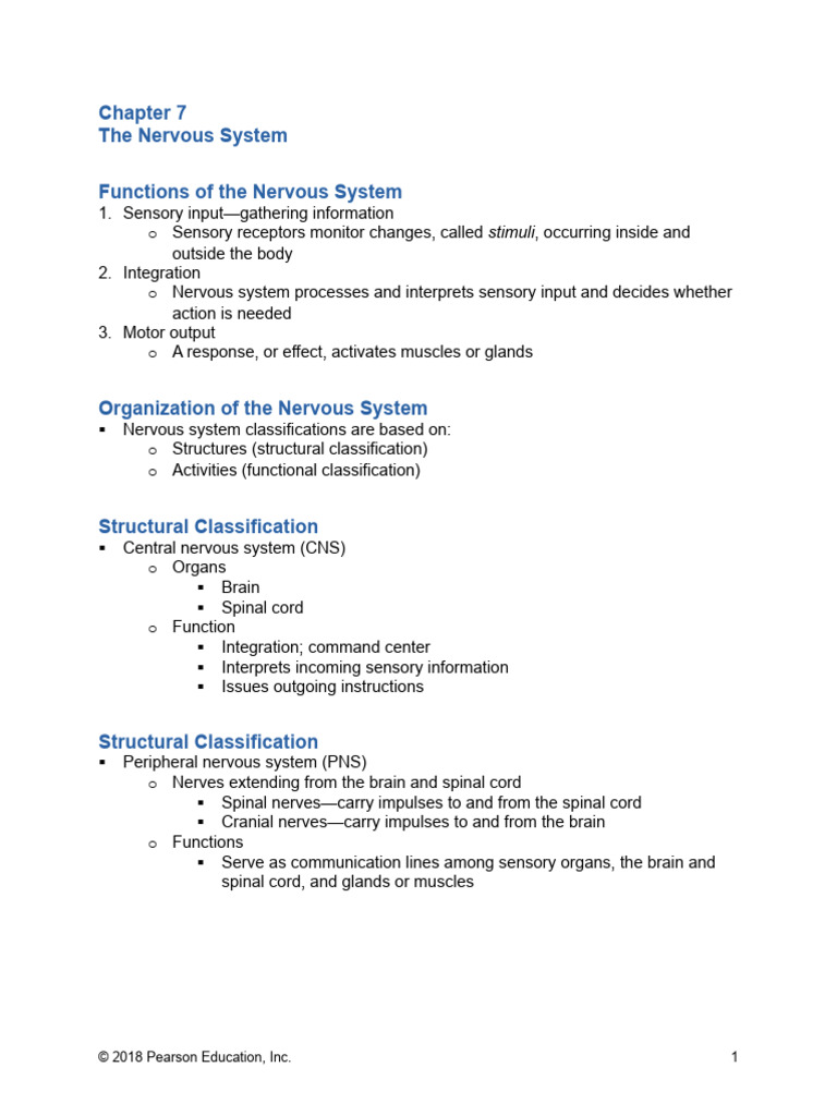 CH 07 Lecture Presentation | PDF | Action Potential | Autonomic Nervous System