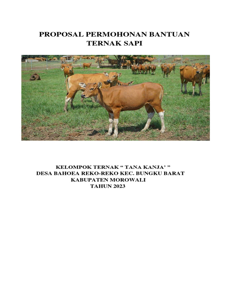 Proposal Tana Kanja' Permohonan Bantuan Ternak Sapi | PDF