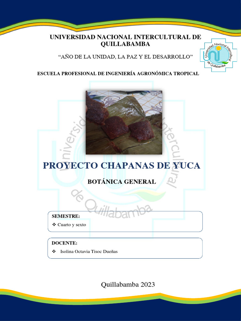 Chapana de Yuca: Preparación y Nutrientes | PDF | Nutrición | Dieta y ...