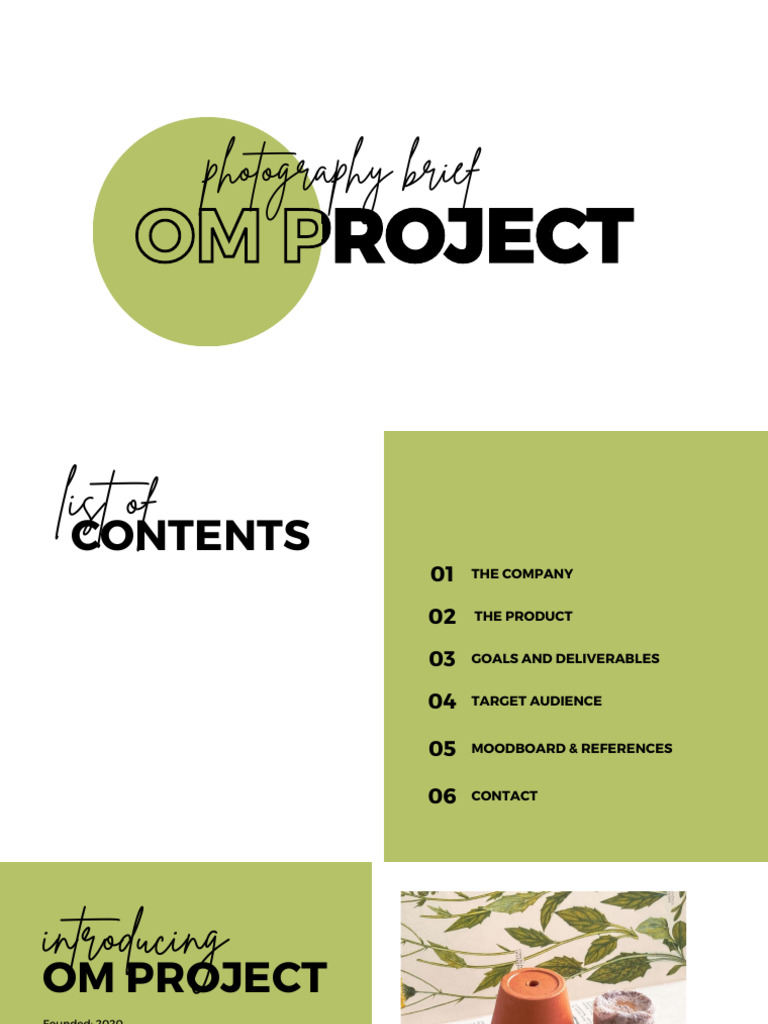 OM Project Brief | PDF