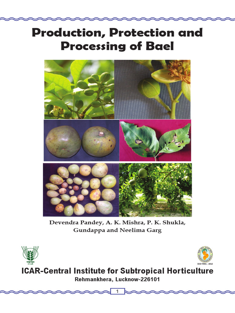Production Protection and Processing of Bael | PDF | Wellness | Science & Mathematics