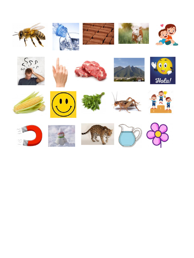 imagenes-diccionario-pdf