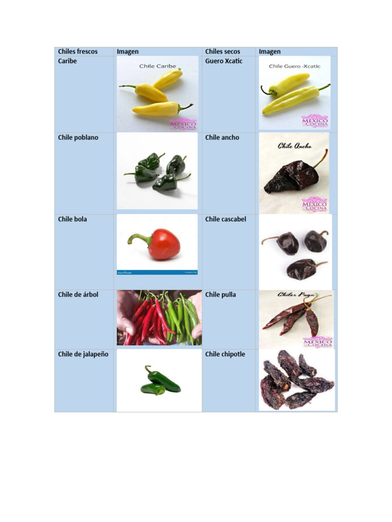 Tipos de Chiles Frescos y Secos | PDF | Cocina, comidas y vino