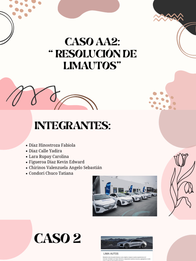 Caso 2 Limaautos | PDF | Marketing