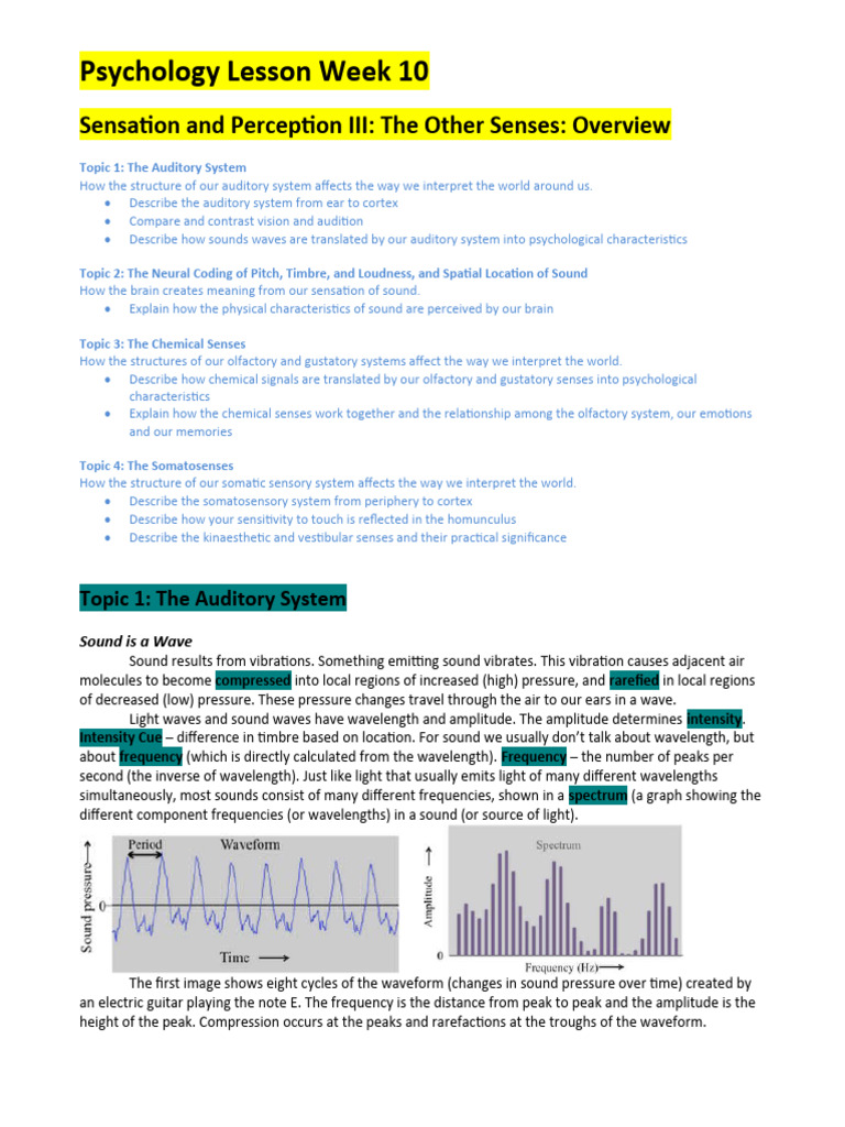 Psychology 100 | PDF | Sound | Senses