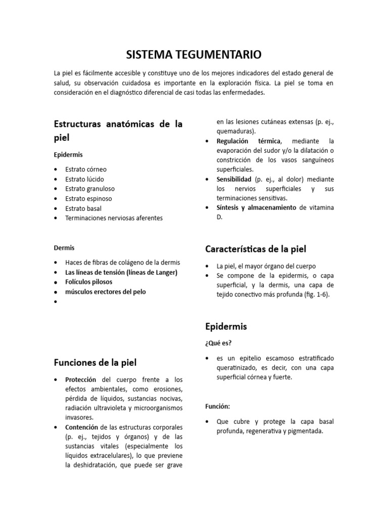 Sistema Tegumentario | PDF | Piel | Epidermis