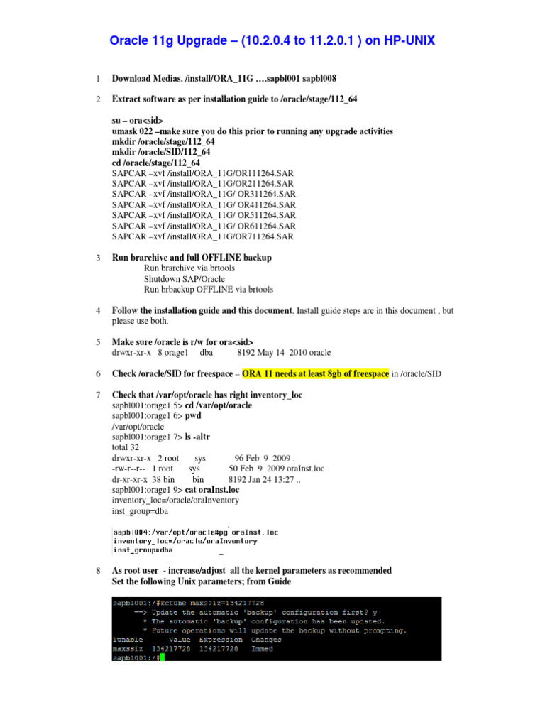 Oracle 11g Upgrade On HP-UNIX | PDF