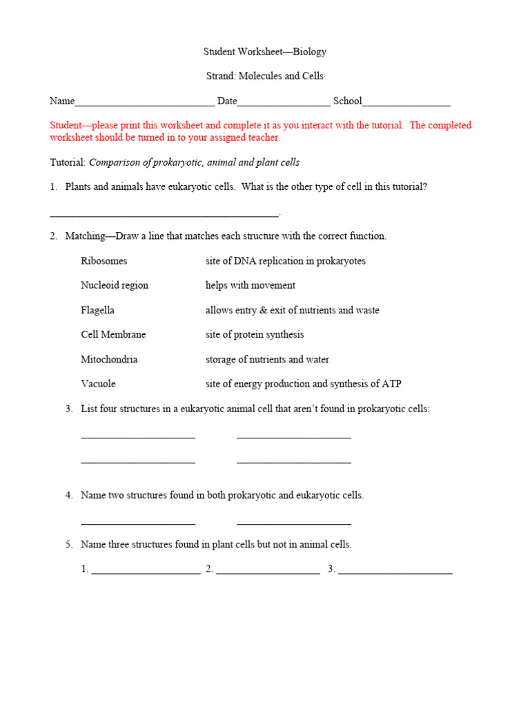 10bprokaryoticplantanimalcells 2 2 | PDF