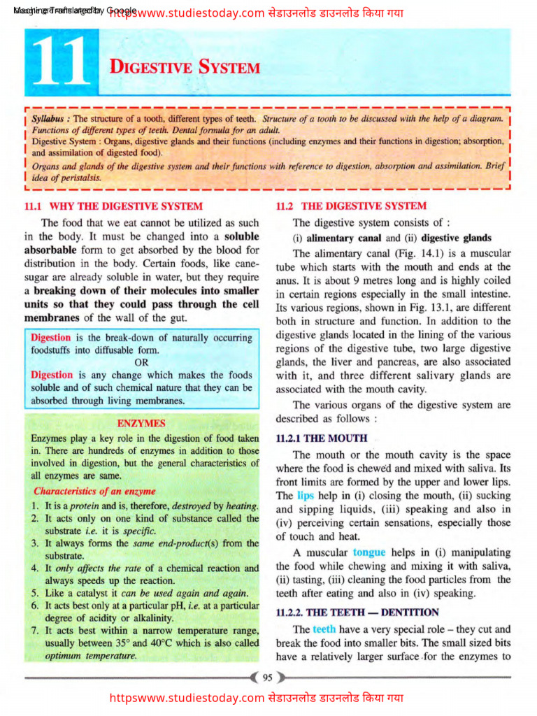 ICSE Selina Class 9 Biology Chapter 11 Digestive System | PDF
