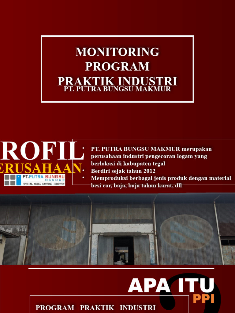 Monitoring 2023 | PDF