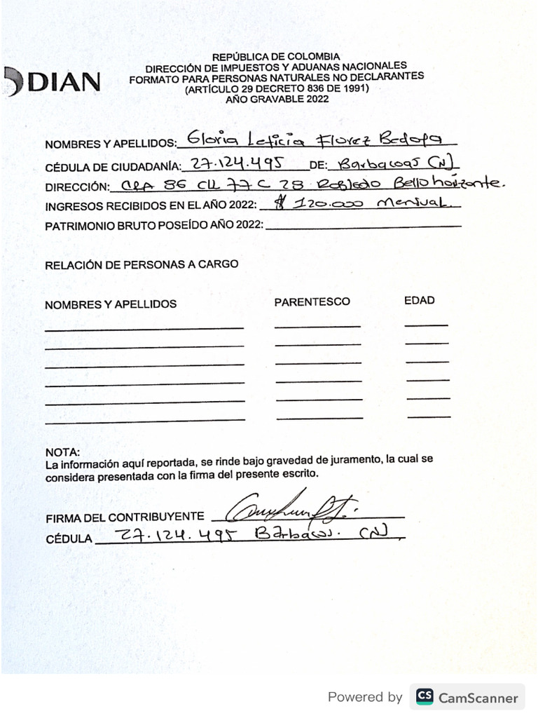 Formato Dian Universidad | PDF