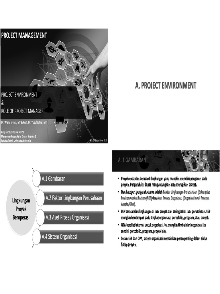 MP 02 Project Environment & Role of PM 2020 | PDF