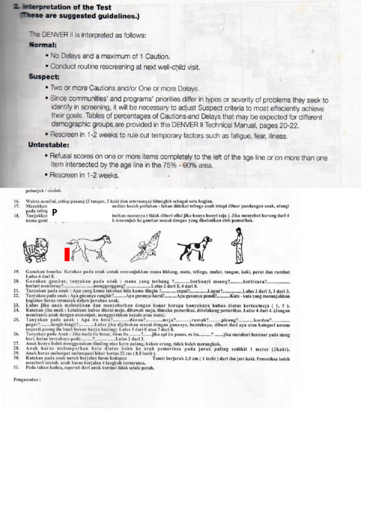 Form Denver 2 Form Kosong | PDF