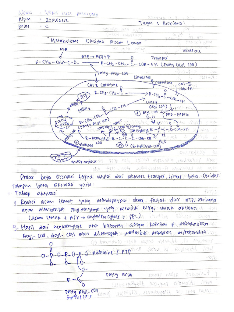Vona Suci Marisma - 220106112 - C - Tugas Biokimia 1 | PDF