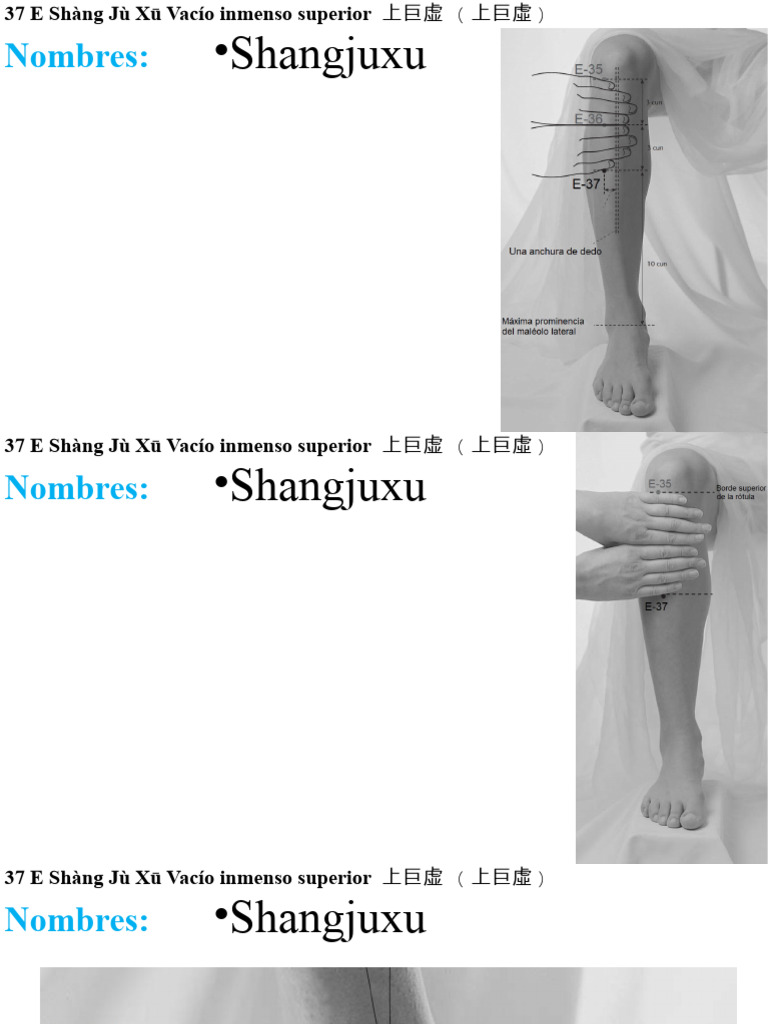 37 E Shàng Jù Xū Vacío inmenso superior 上巨虚 (上巨虛) | PDF | Enfermedades ...