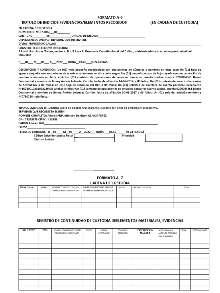 Formato de Cadena de Custodia Formatos A6, A7 | PDF | Finanzas y dinero