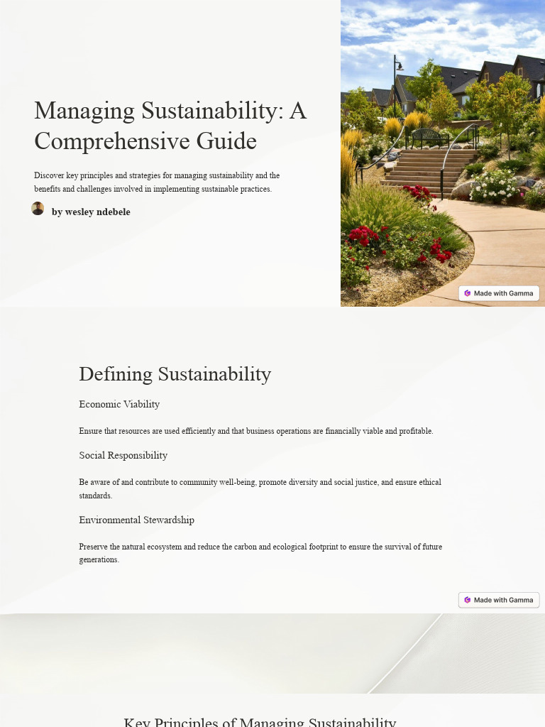 Managing Sustainability A Comprehensive Guide 2 | PDF
