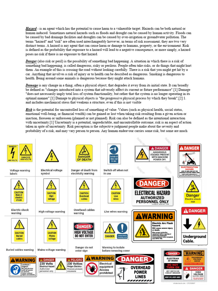 EE Safety Assignment | PDF | Risk | Hazards