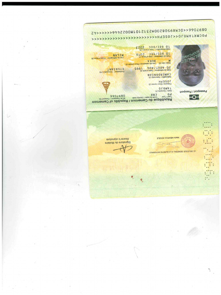 PASSAPORTO | PDF